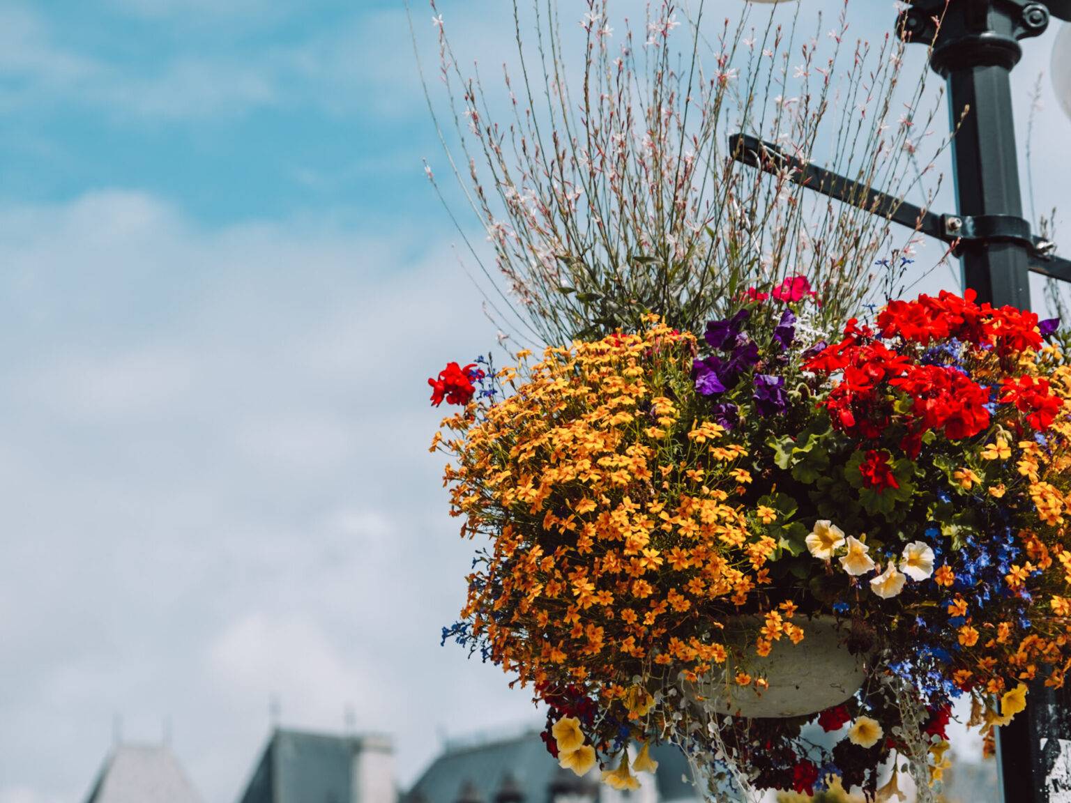 Victoria: Tipps und Orte auf Vancouver Island