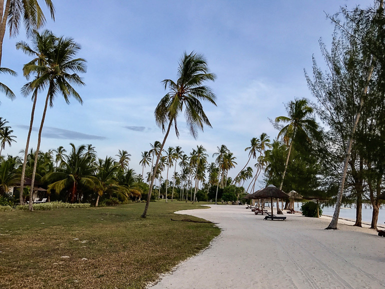 Die Insel Sansibar: Schnorcheln und andere Highlights