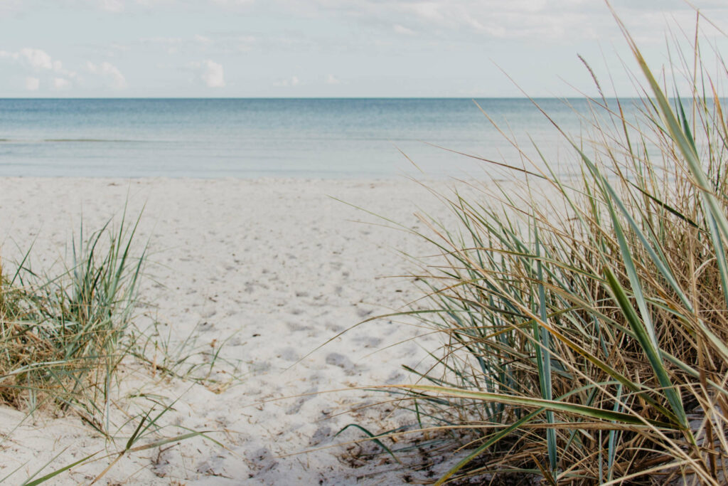 Skåne: Geheimtipps und Sehenswürdigkeiten